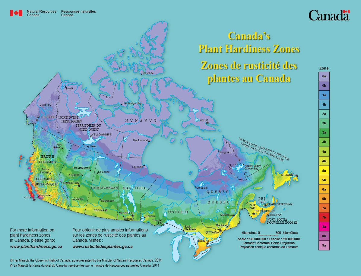 Canada Plant Hardiness Zones Little Tree Farm